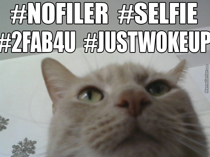 Raleigh's Top Digital Marketing Team Explained in Cat Memes - TheeDesign